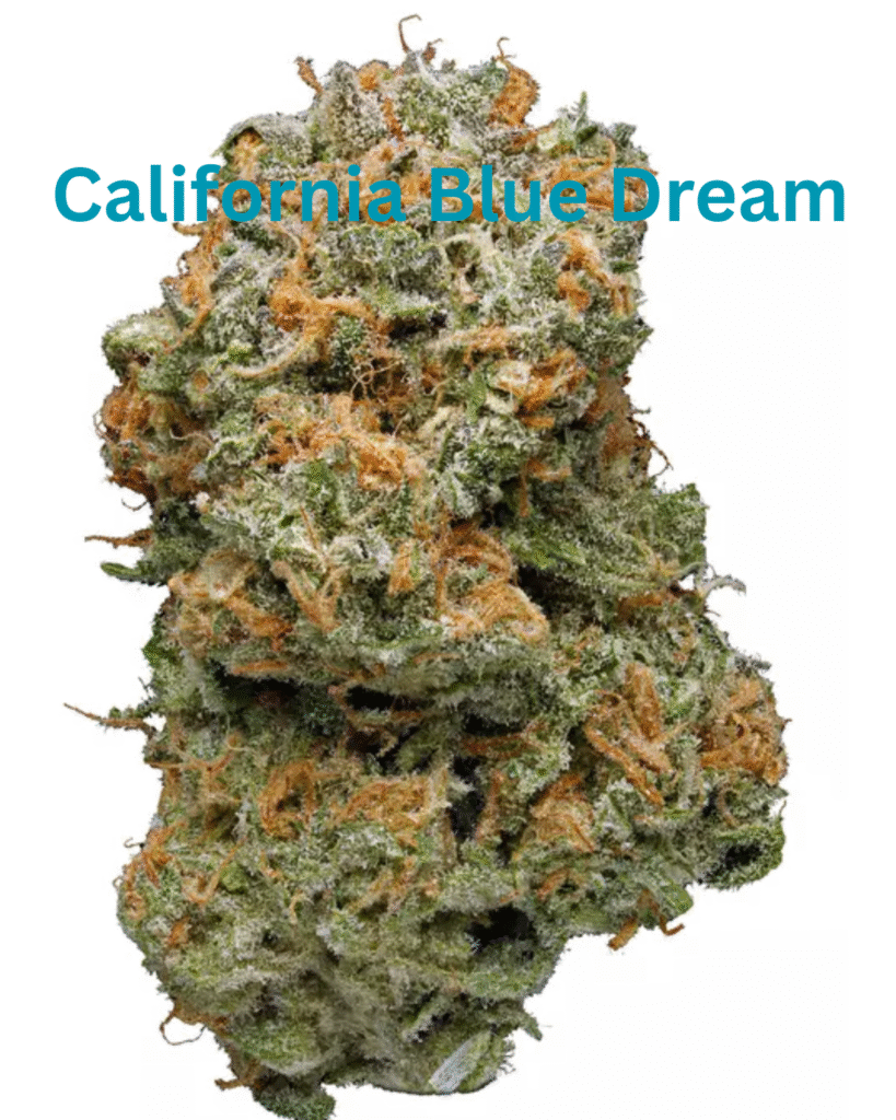 Blue Dream Bud Strain: Balanced High & Sweet Berry Flavor- Jolly Green Life