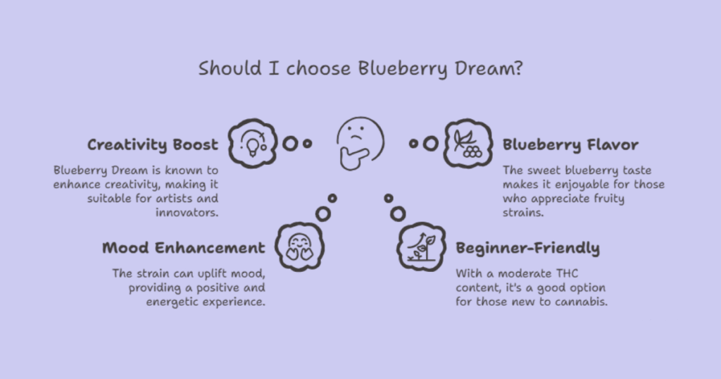 Blueberry Dream Strain (Effects, Medical Uses, & THC) - Jolly Green Life